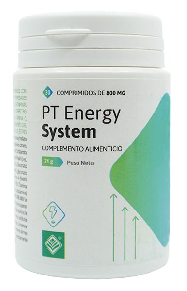 PT Energy System Gheos al Mejor Precio